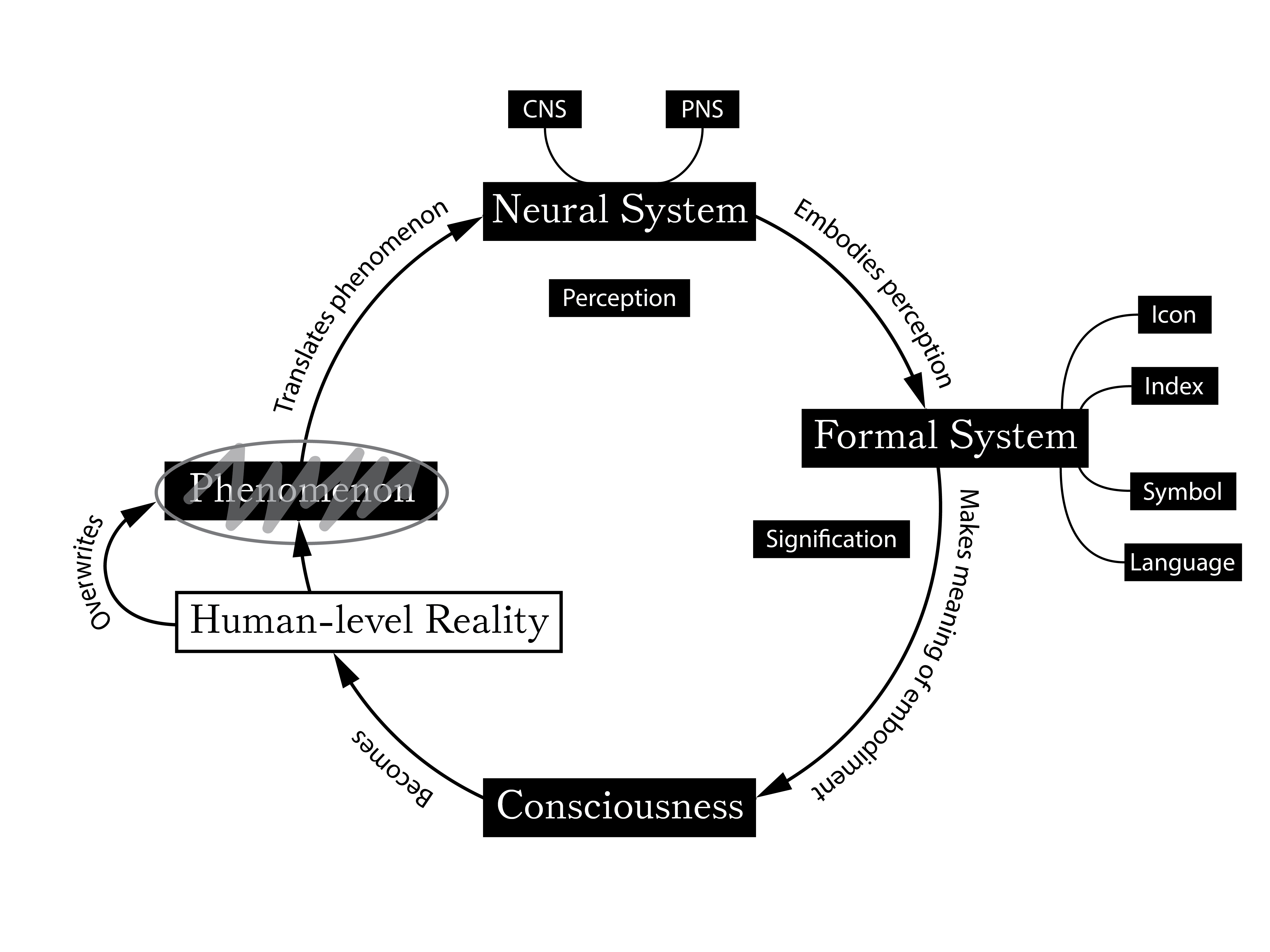 From Phenomenon to Consciousness: How Reality Overwrites Illusion ...