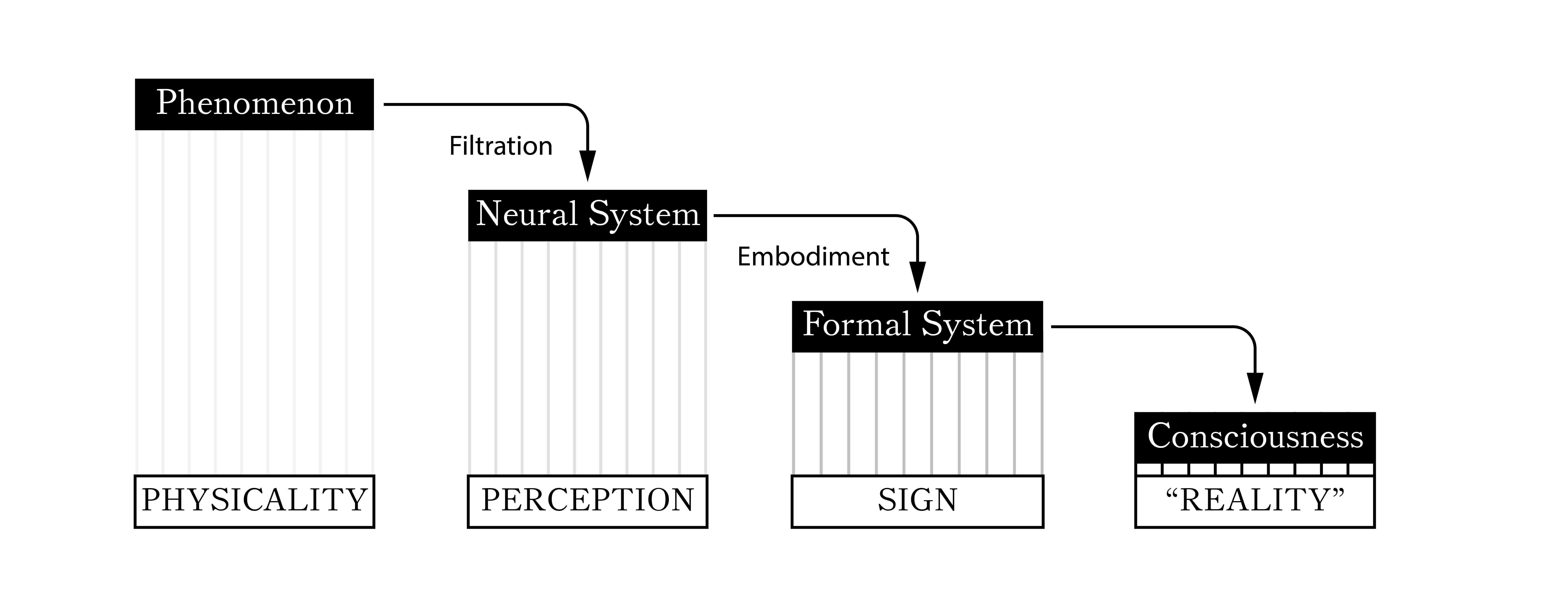 From Phenomenon to Consciousness: How Reality Overwrites Illusion ...