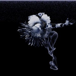 Morphai – Yiou Wang